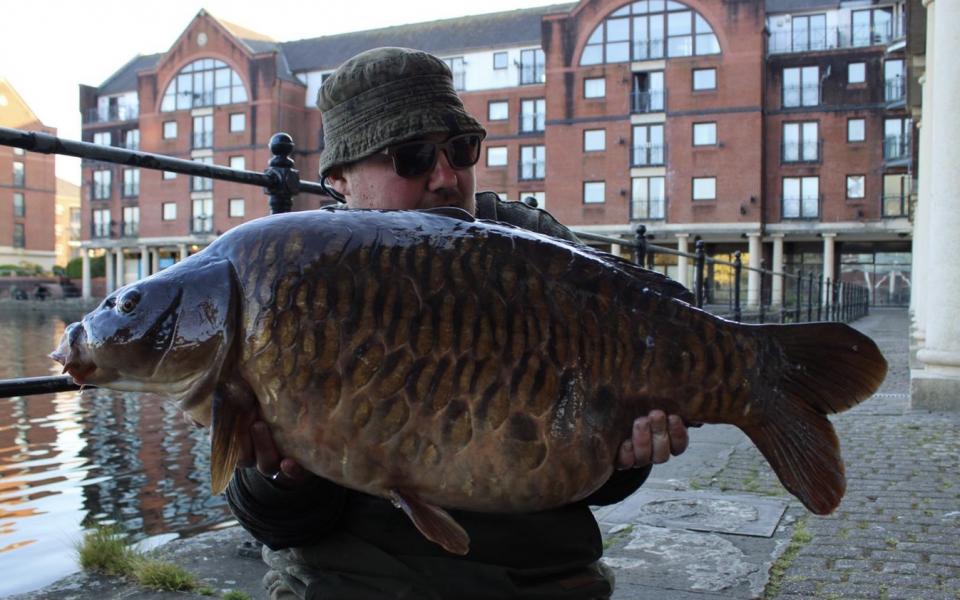 Welsh fully | Total Carp